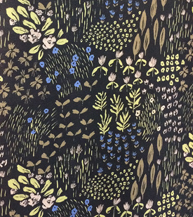 About - Emily Isabella